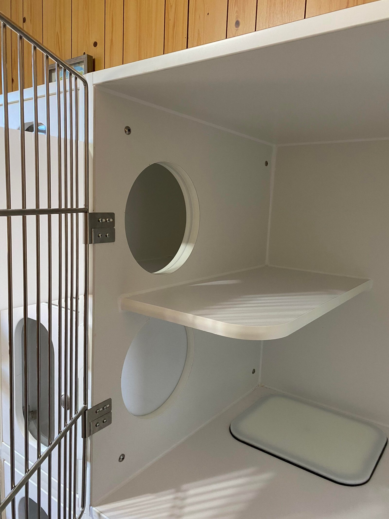 Boarding for Cats - Merrylands Vet